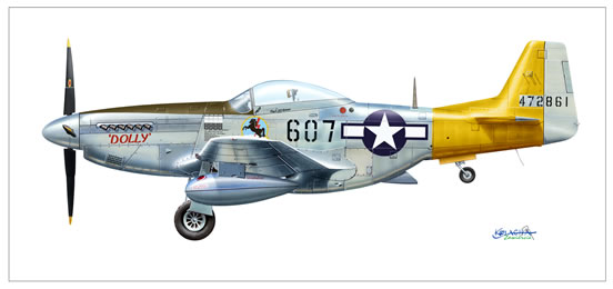 HIstory: 506th Fighter Group History, 457 Fighter Squadron, 458 Fighter ...